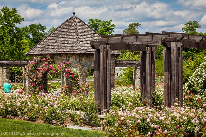 Around My Virginia