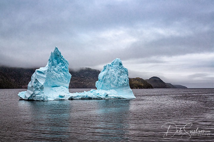 Newfoundland